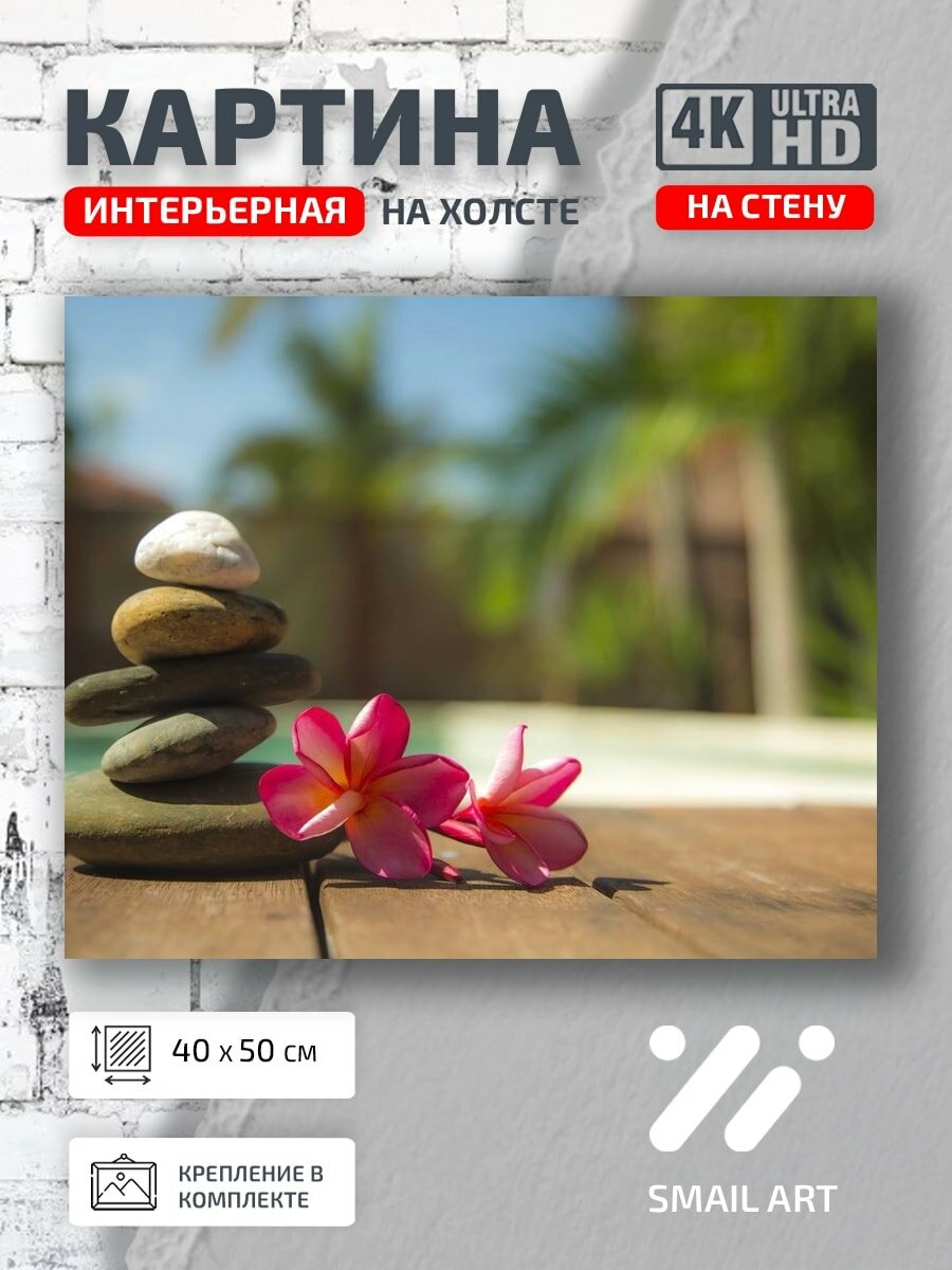 Картина на холсте интерьерная 40 на 50 на стену Макро Равновесие для кабинета атмосфера
