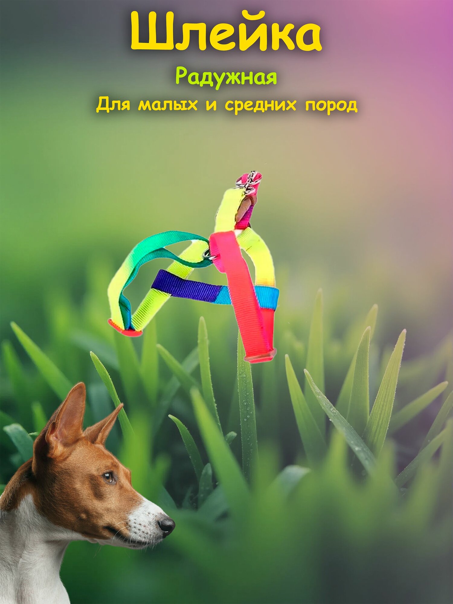 Шлейка для собак средних пород, радужная
