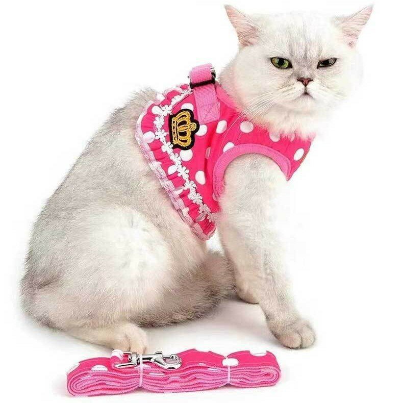 Трансграничный поводок для собак, поводок для собак, поводок для собак Волновой точечный красный костюм на груди