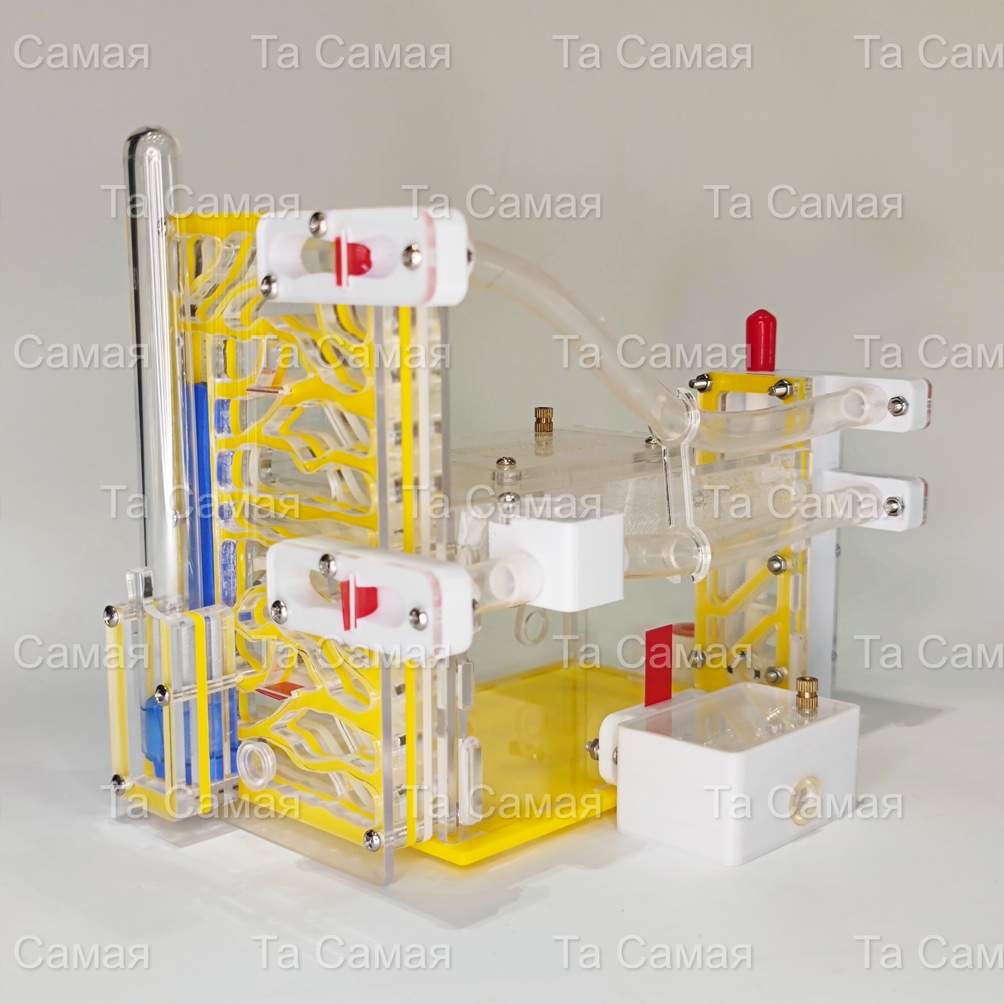 Муравьиная ферма Ant Tower Ant Nest B1 Antlife.r - в собранном виде! + Антипобег! Колония муравьёв M. Structor - в подарок!