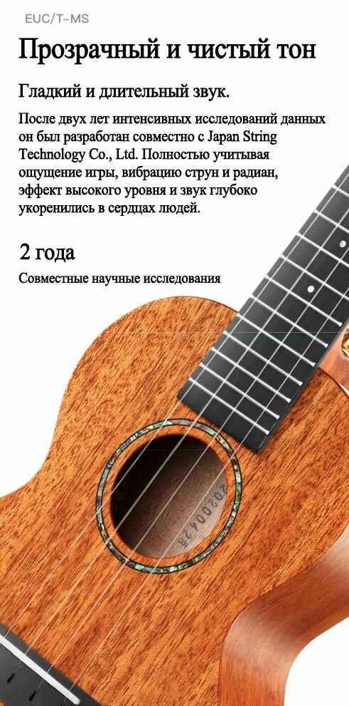Струнный инструмент — фото 1