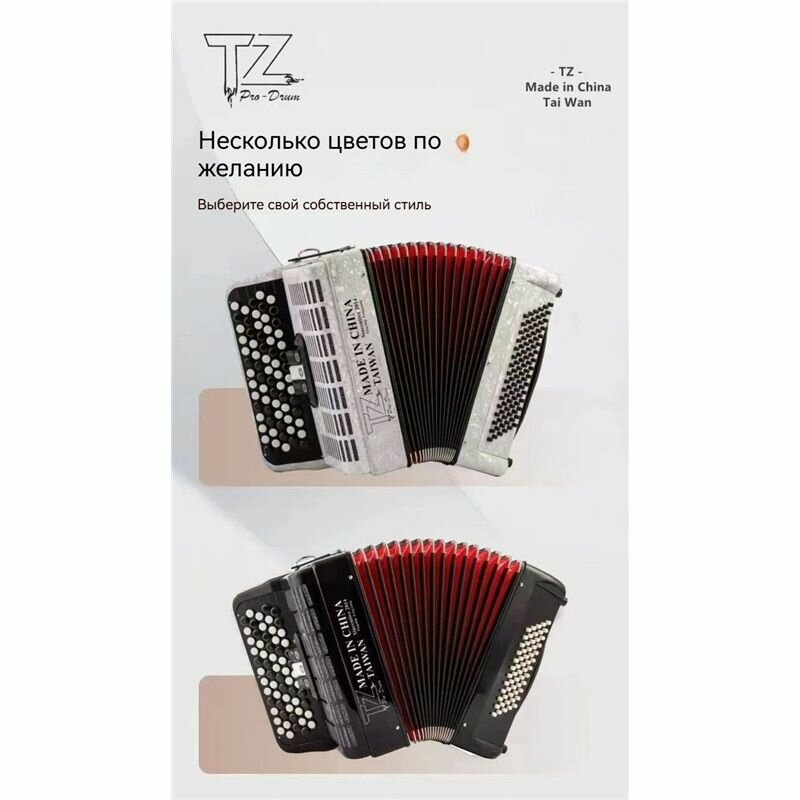 Баян — фото 1