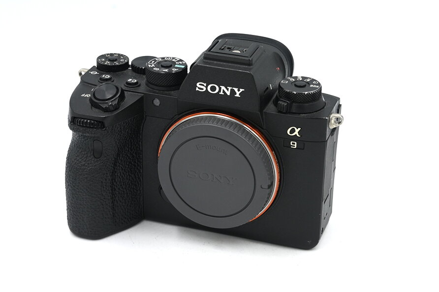 Беззеркальный фотоаппарат Sony A9 II Body