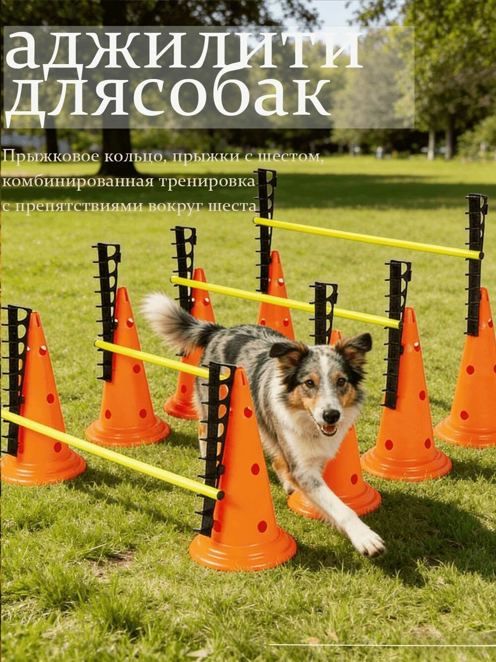 Аджилити для собак , Перфорированное ведро с логотипом