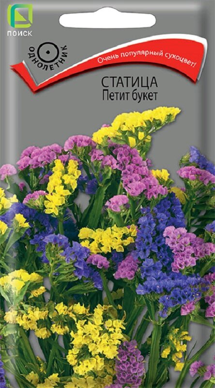 Семена цветов статица Петит букет, для дачи, сада, огорода и на рассаду