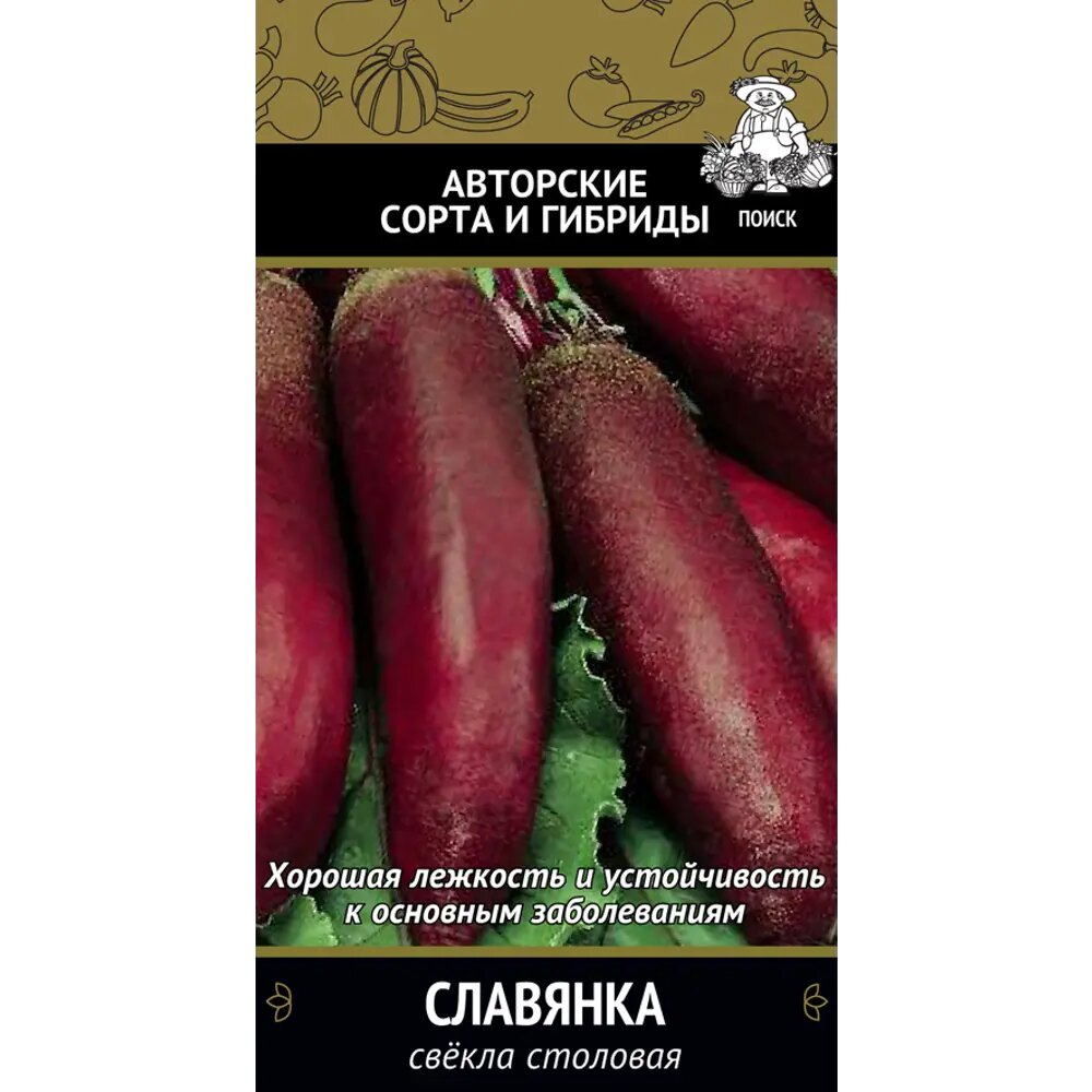 Свекла столовая «Славянка» – позднеспелая сорт с красной мякотью и крепкими корнеплодами