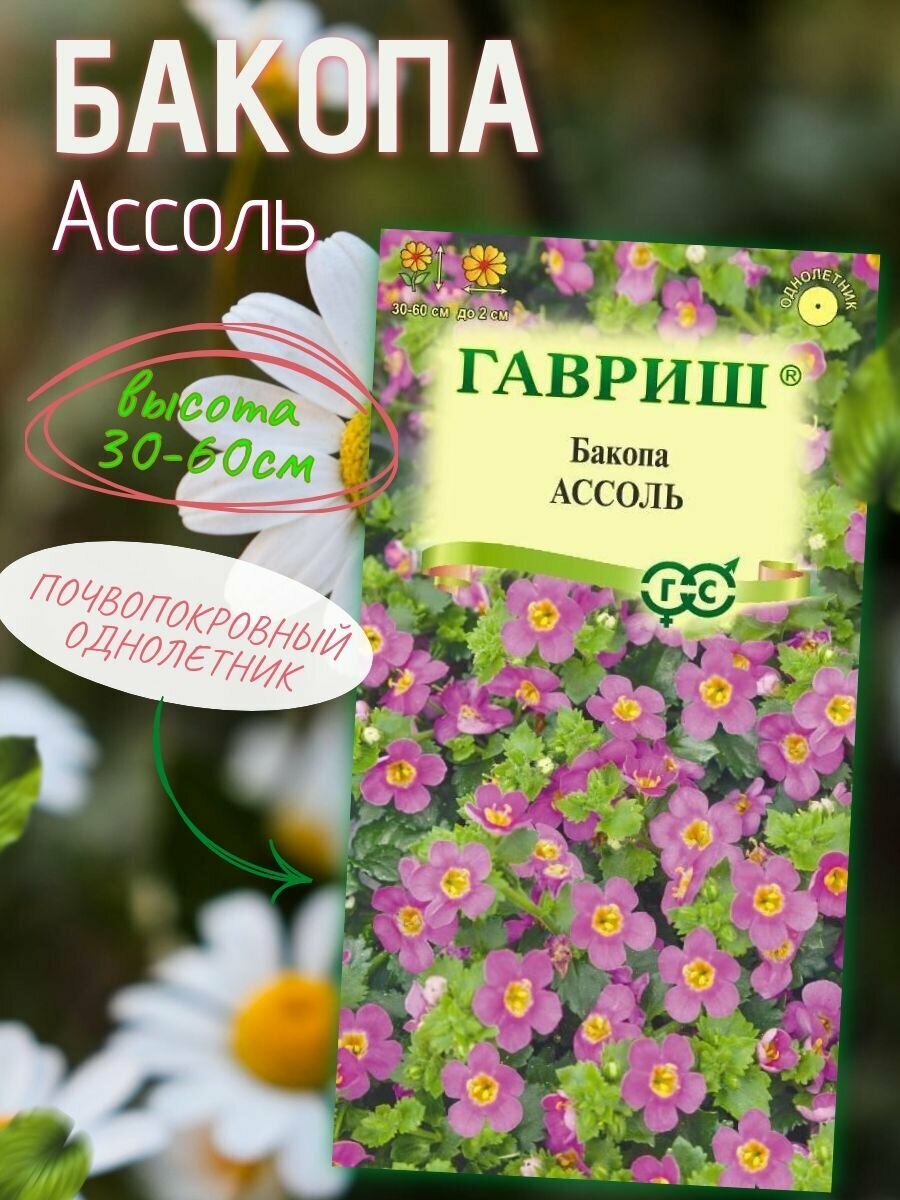 Семена цветов Бакопа ампельная Ассоль 1 упаковка.