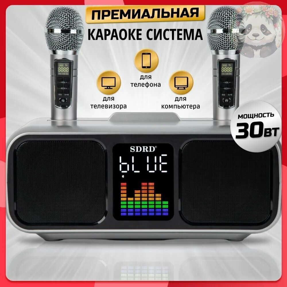 Караоке система для дома SD-318 /Ten Clock