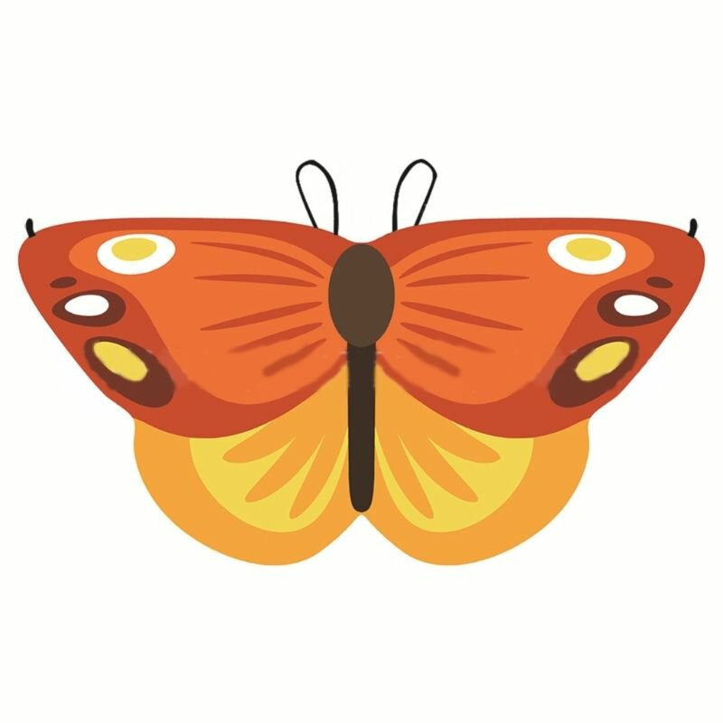 Плащ-Бабочка На Хэллоуин-Оранжевый