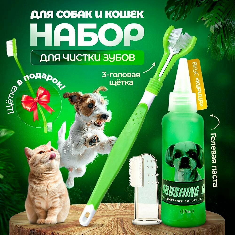 Наборы для чистки зубов домашних животных, зубные щетки и пасты, принадлежности для чистки зубов собак
