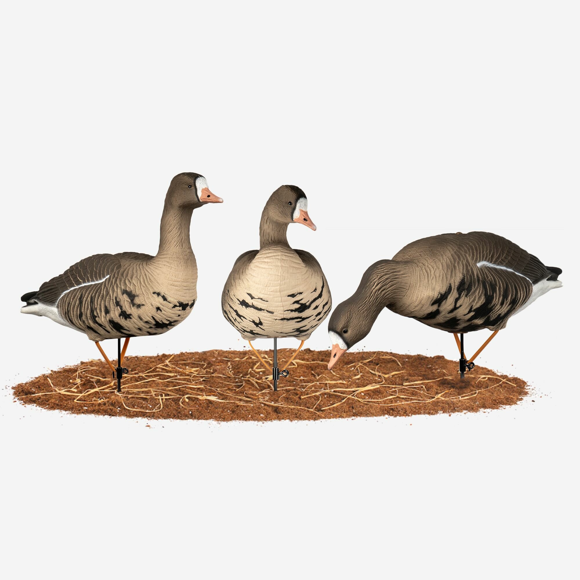 Чучела гусей Белолобые Альфа ALFA6B с регулируемой стойкой и сумкой в подарок реалистичные и удобные для охоты