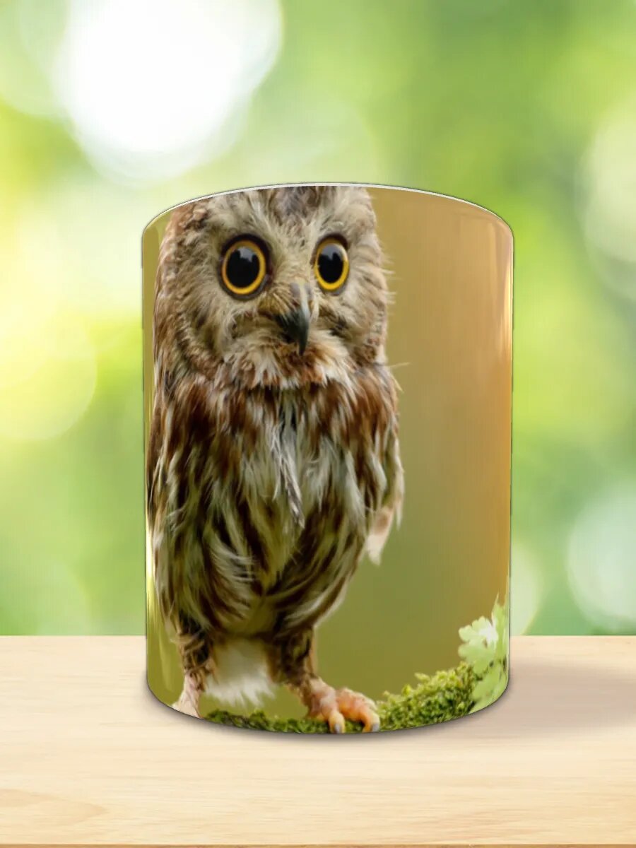Кружка Сова