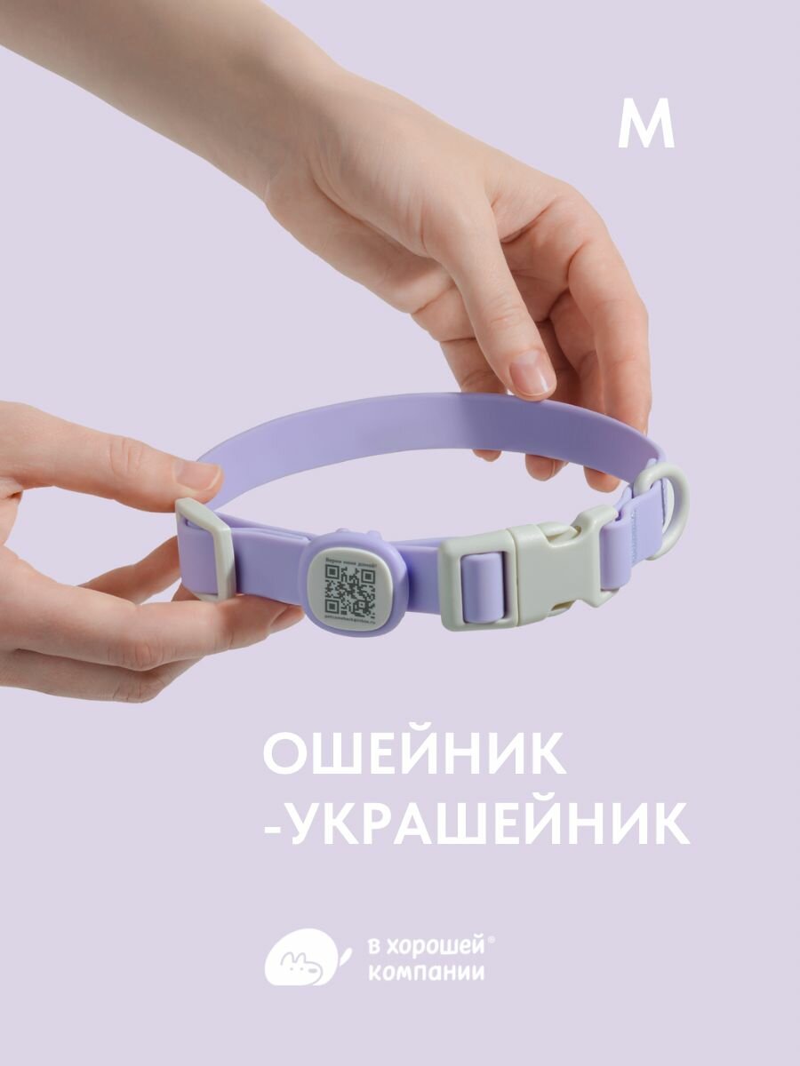 Водонепроницаемый ошейник с адресником для собак средних пород IN GOOD COMPANY (М / фиолетовый / неотан)