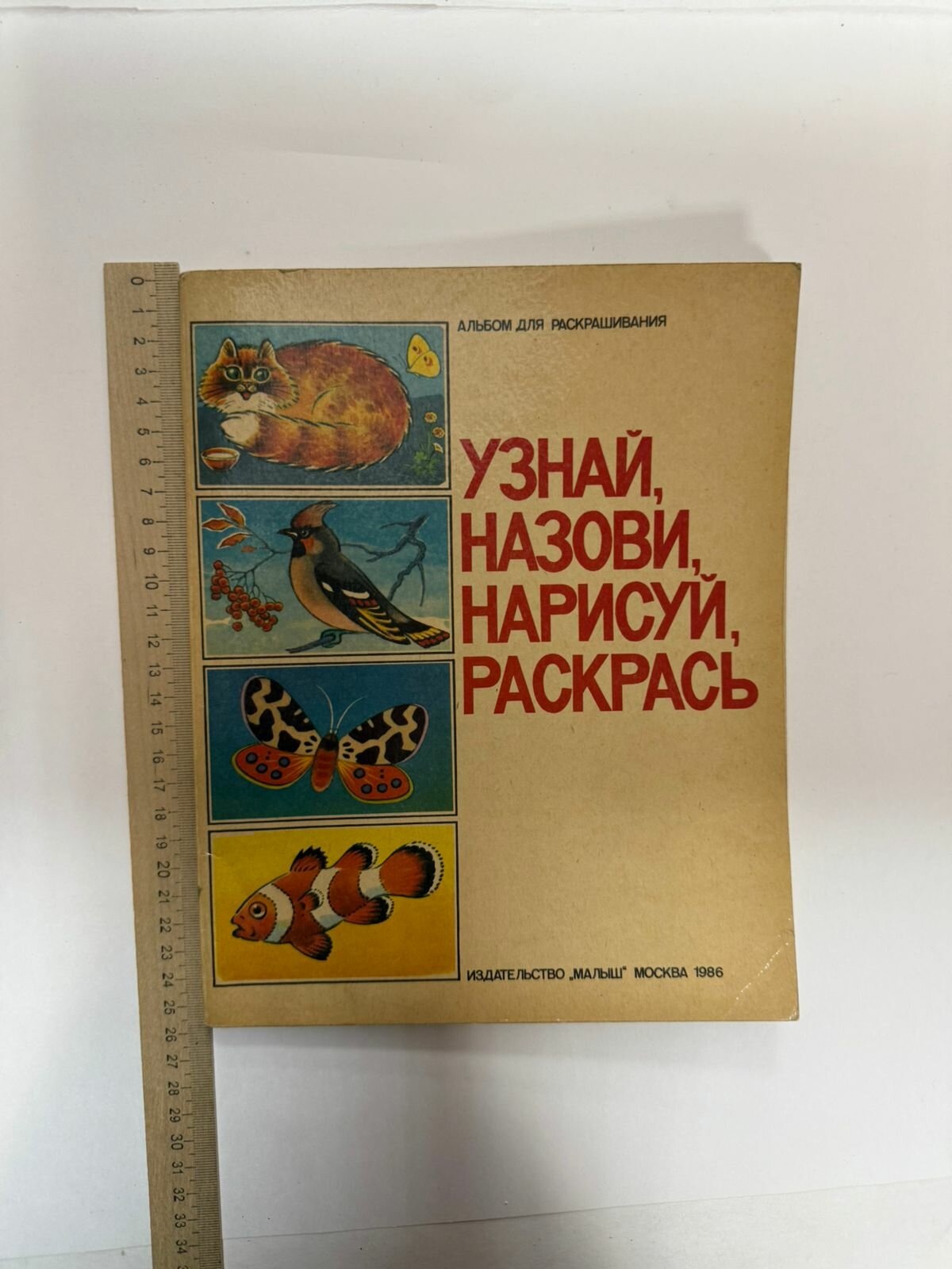 Узнай, назови, нарисуй, раскрась