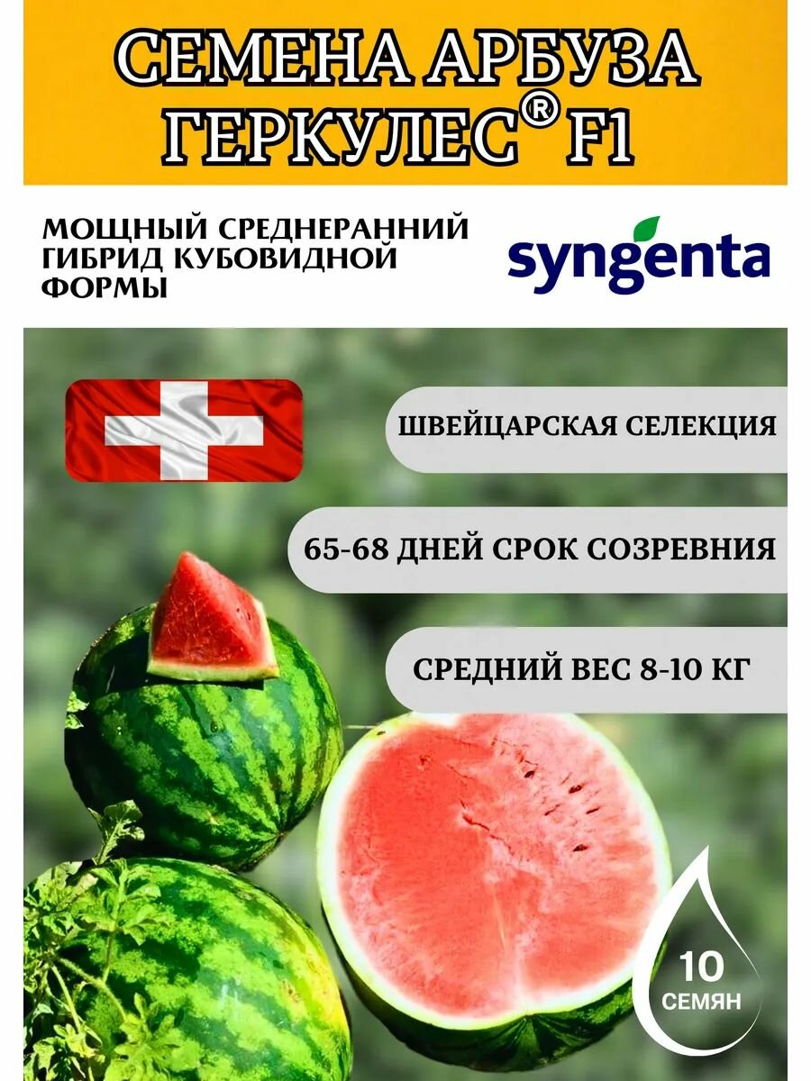 Профессиональные семена раннего гибрида арбуза Геркулес F1 10 штук Syngenta
