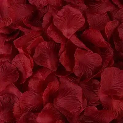 Красные лепестки роз, 2000 шт (20 упаковок), Wine Red