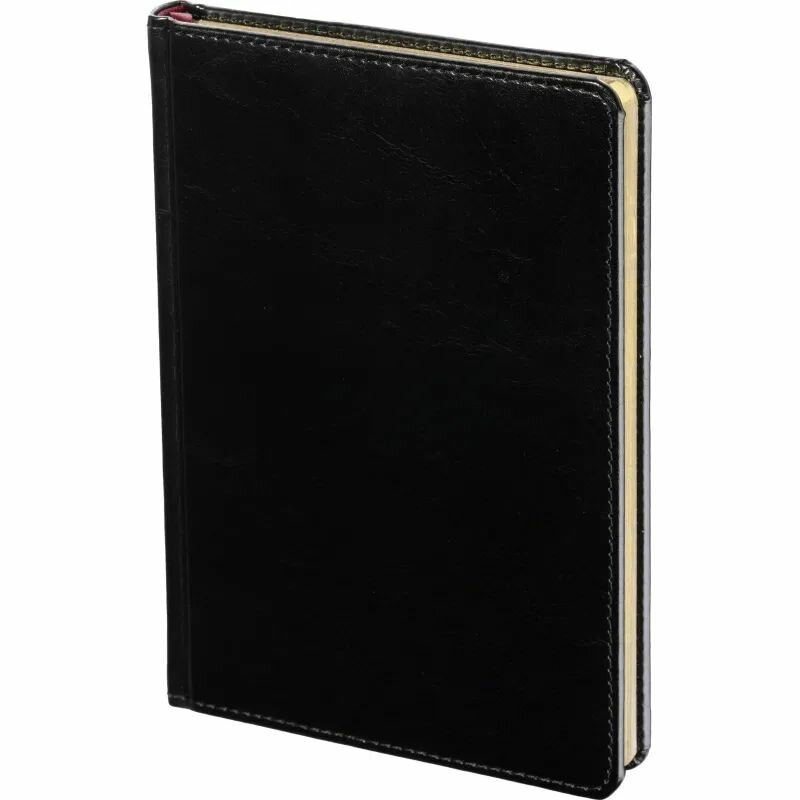 Ежедневник недатированный черн, А5,145х205мм,136л, Sidney NEBRASKA 3-128/02