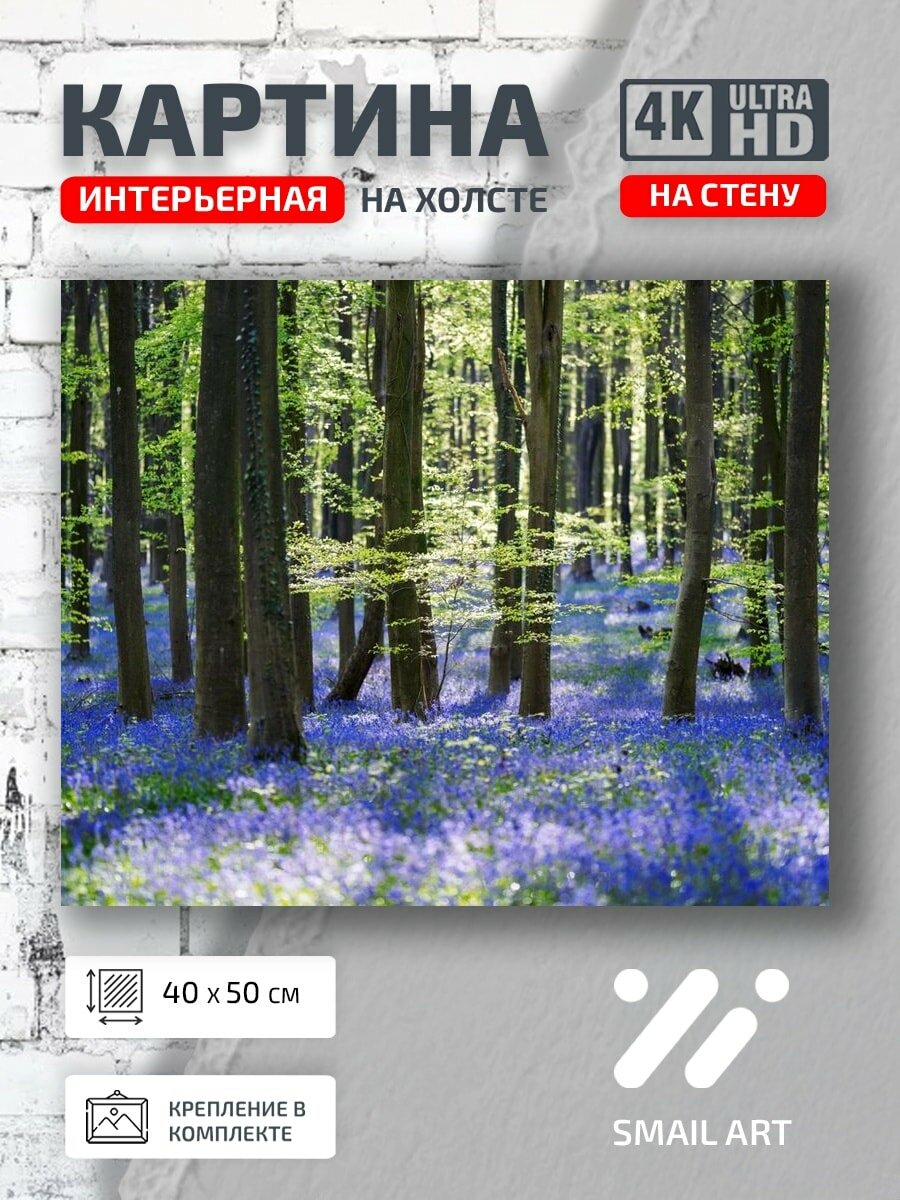Картина на холсте интерьерная 40 на 50 на стену Лесные леса для спальни пейзаж
