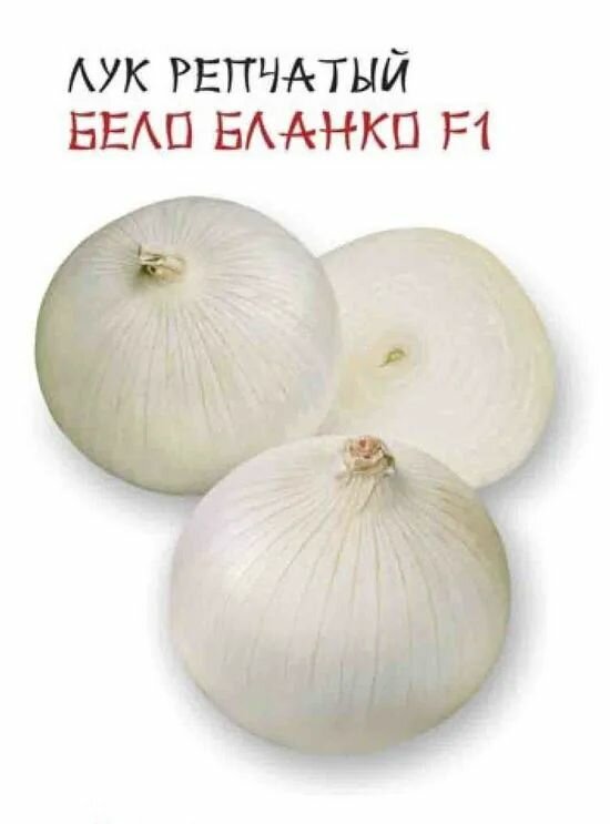 Коллекционные семена лука репчатый Бело бланко F1
