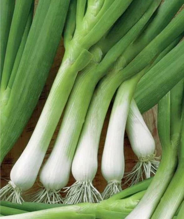 Коллекционные семена лука батун Белый пучок