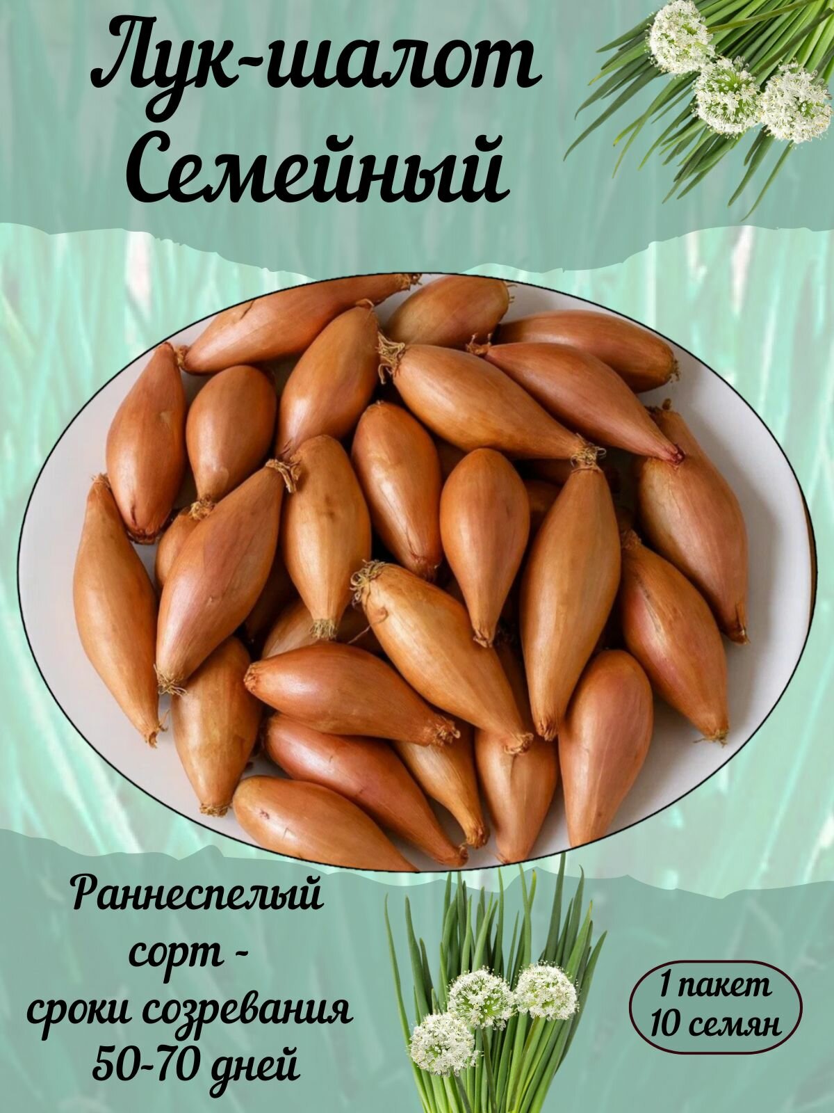 Лук-шалот Семейный, 10 шт, 15 гр.