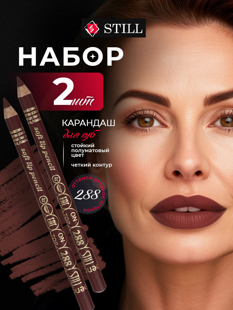 Карандаш для губ стойкий Still On Top набор тон 288 Шоколадно-коричневый*2шт