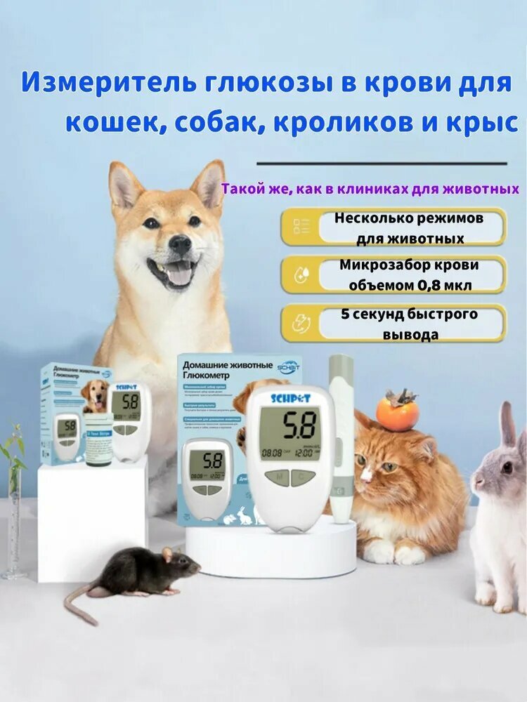 Глюкометр для Животных: Точный Контроль Уровня Глюкозы!
