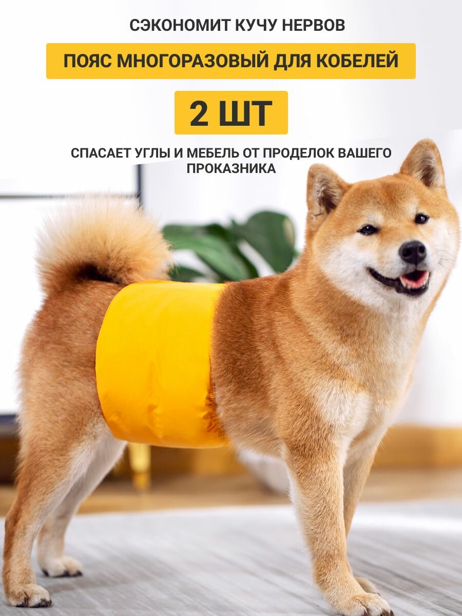 Пояс для кобелей многоразовый от меток и недержания. Подгузник для кобелей. Размер XS