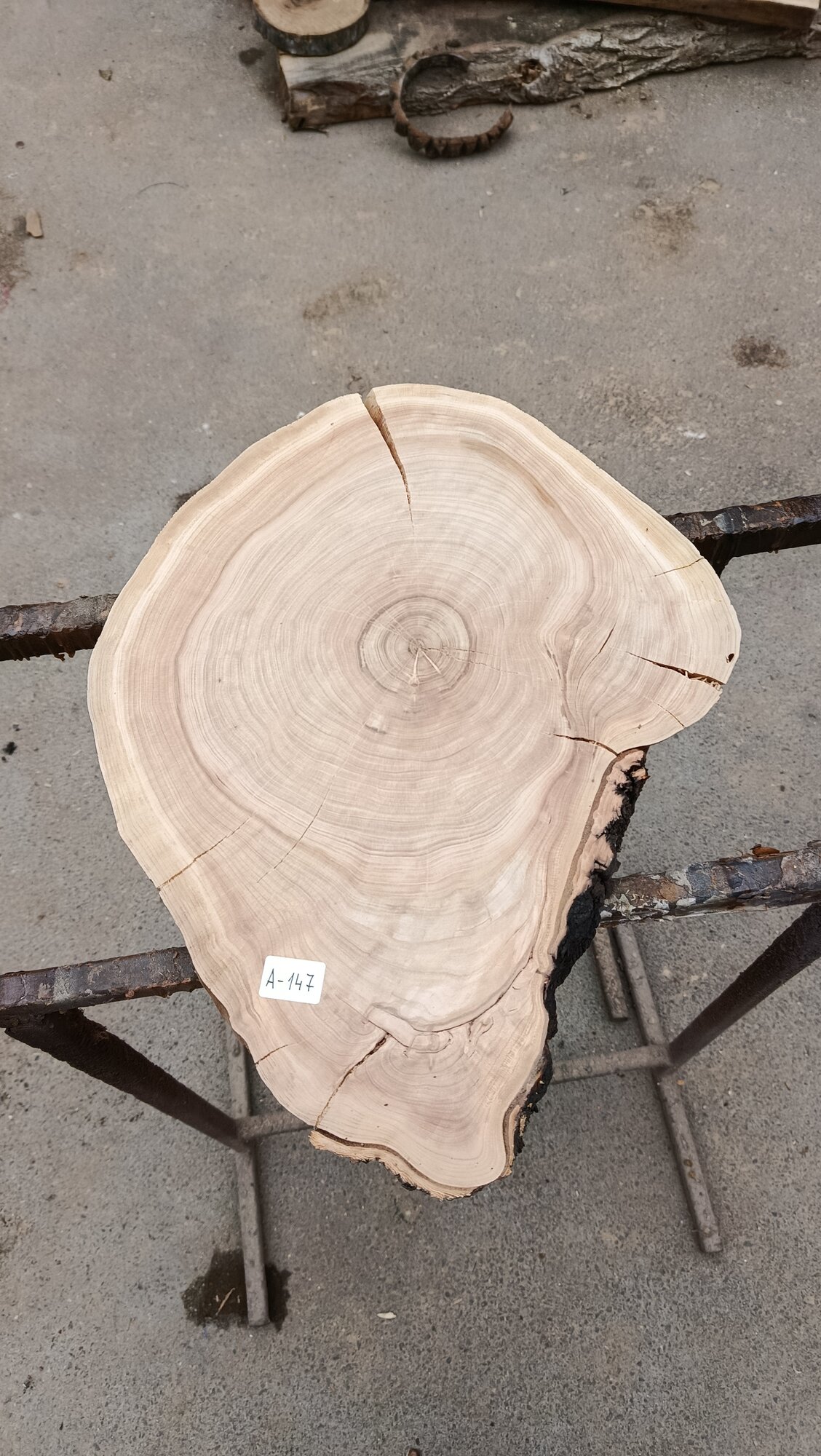 Спил из абрикоса 48х36х5см(А147), высушенный, фрезерованный спил дерева