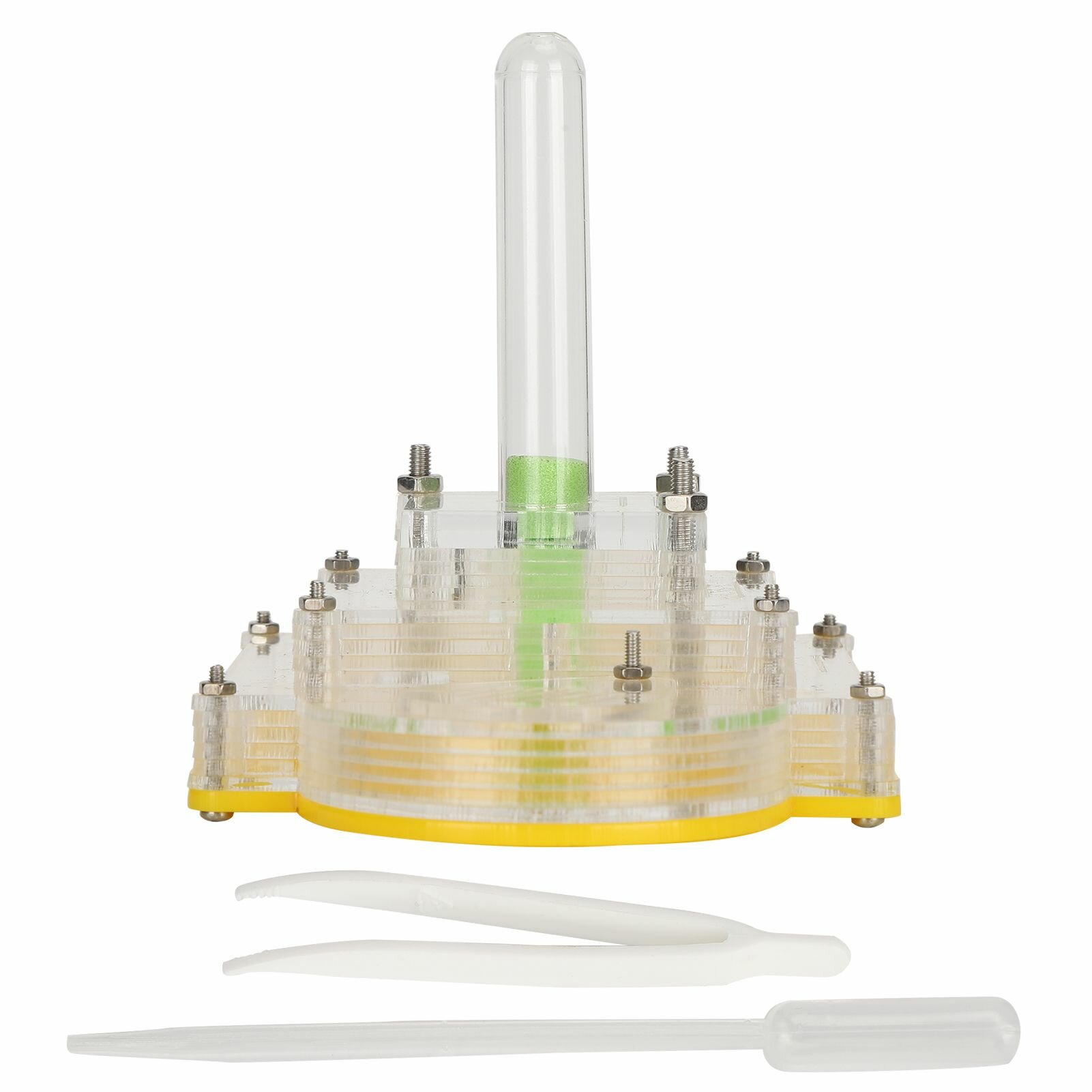 Акриловый футляр для разведения муравьев, прозрачный, детская игрушка