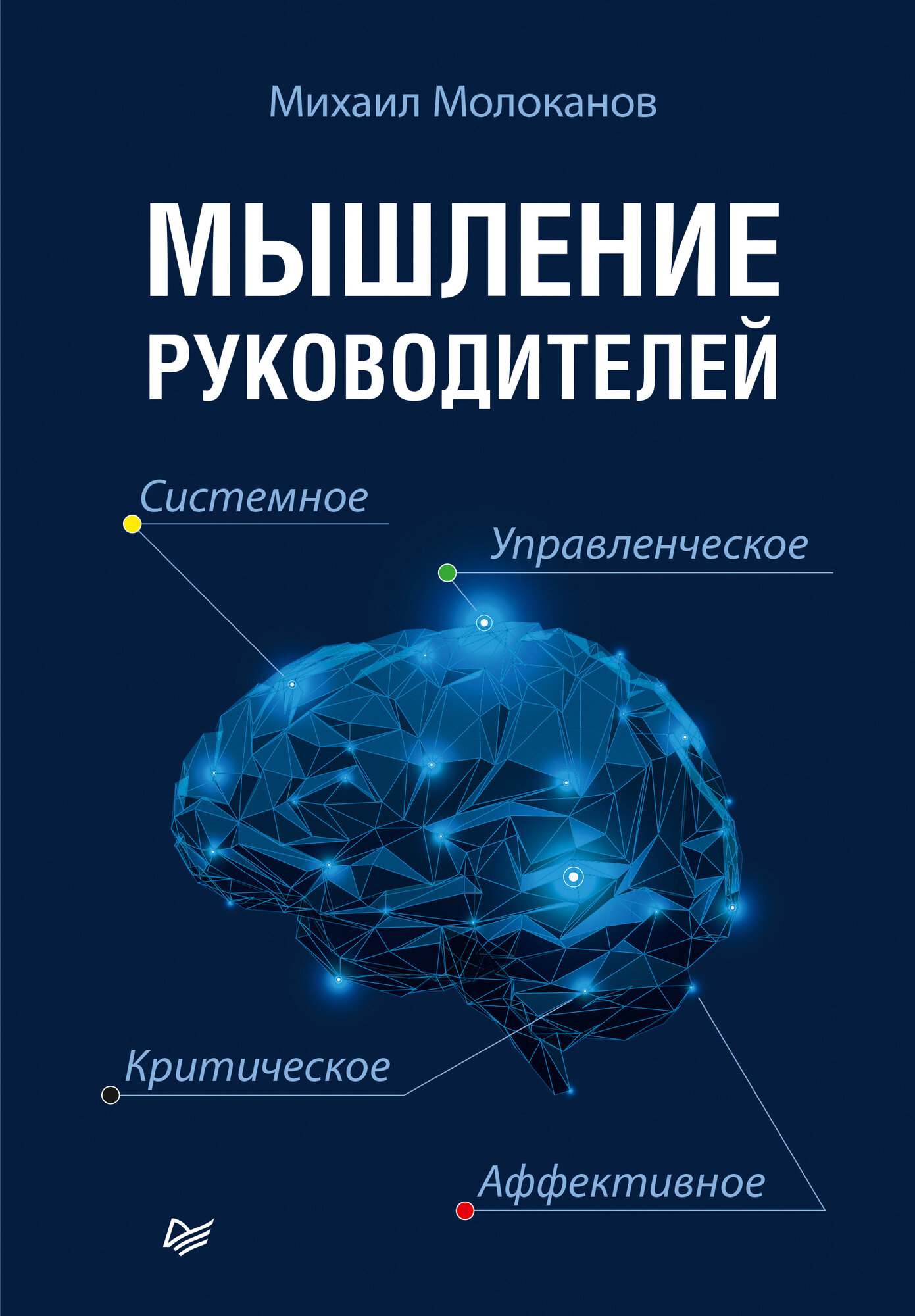 Мышление руководителей: системное, управленческое, критическое, аффективное. Бизнес-психология. Электронная