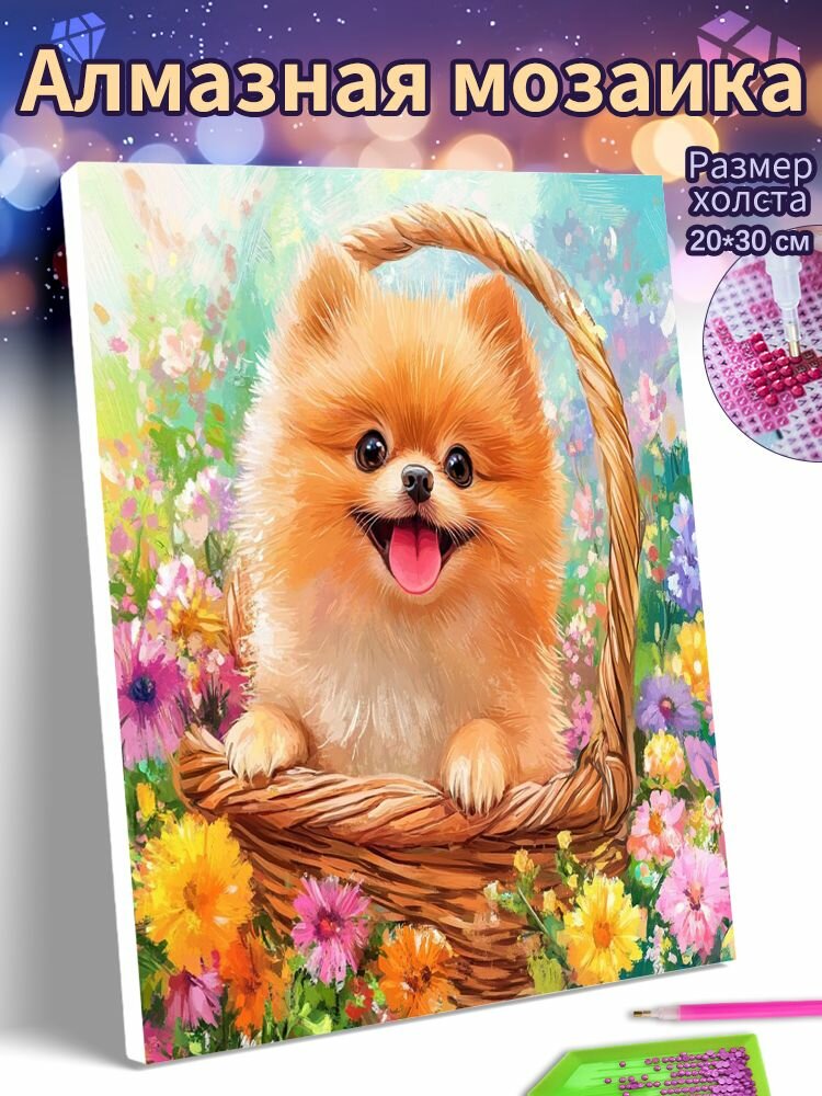Алмазная мозаика холст на подрамнике 20x30 "Симпатичный шпиц" / алмазная вышивка