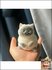 Игрушка-антистресс Сквиш Сиамский кот Красивый цвет W416 из силикона для снятия ...