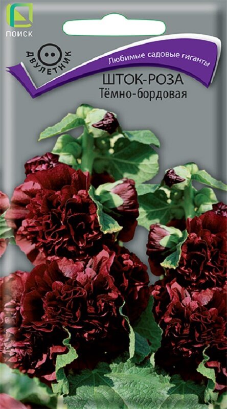 Семена цветов шток-роза темно-бордовая, для дачи, сада, огорода и на рассаду
