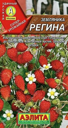 Семена Земляника "Регина" ультрараннеспелая "Аэлита"