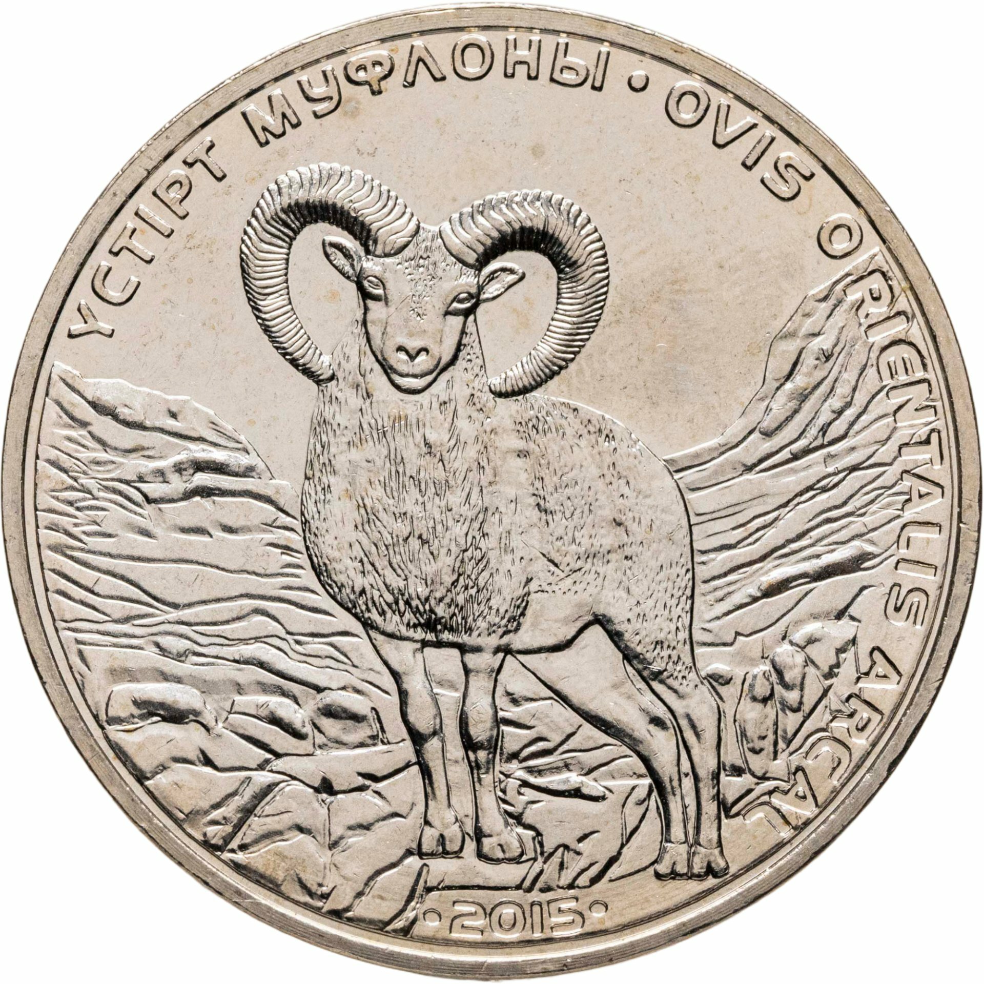 Казахстан 50 тенге 2015 "Красная книга - Устюртский муфлон", МНЦ медь-никель-цинк, в сохранности UNC