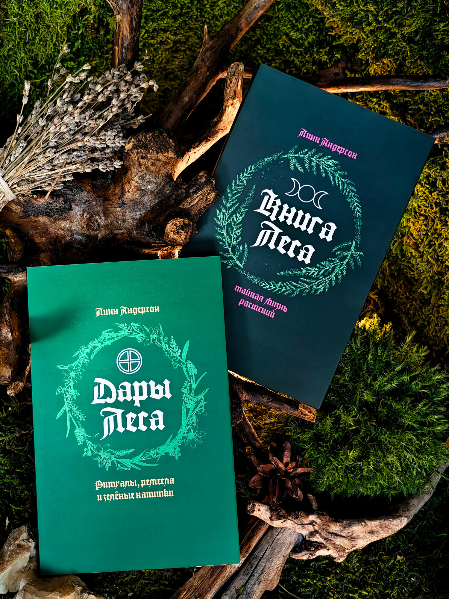 Книга Леса и Дары Леса - набор из 2 книг Линн Андерсон