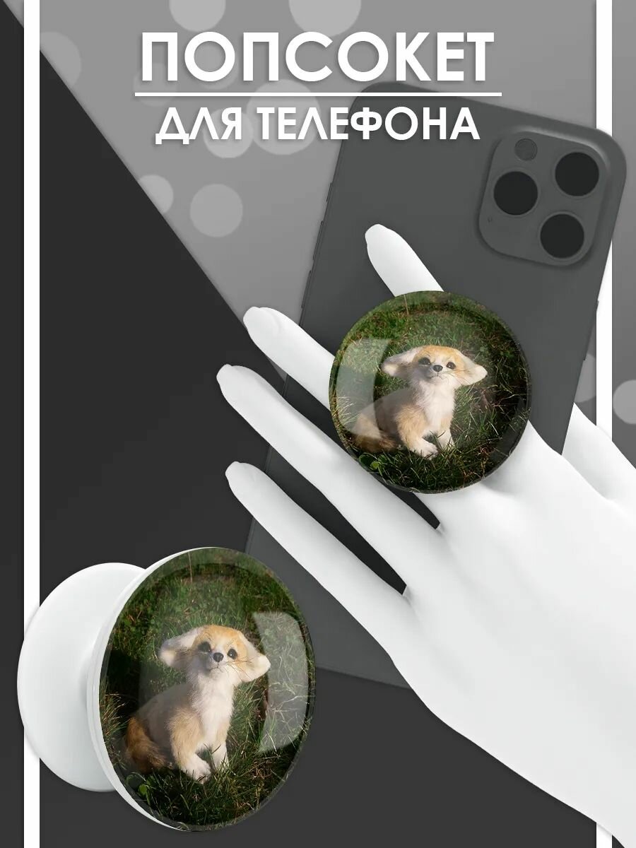 Попсокет Фенек, держатель для телефона