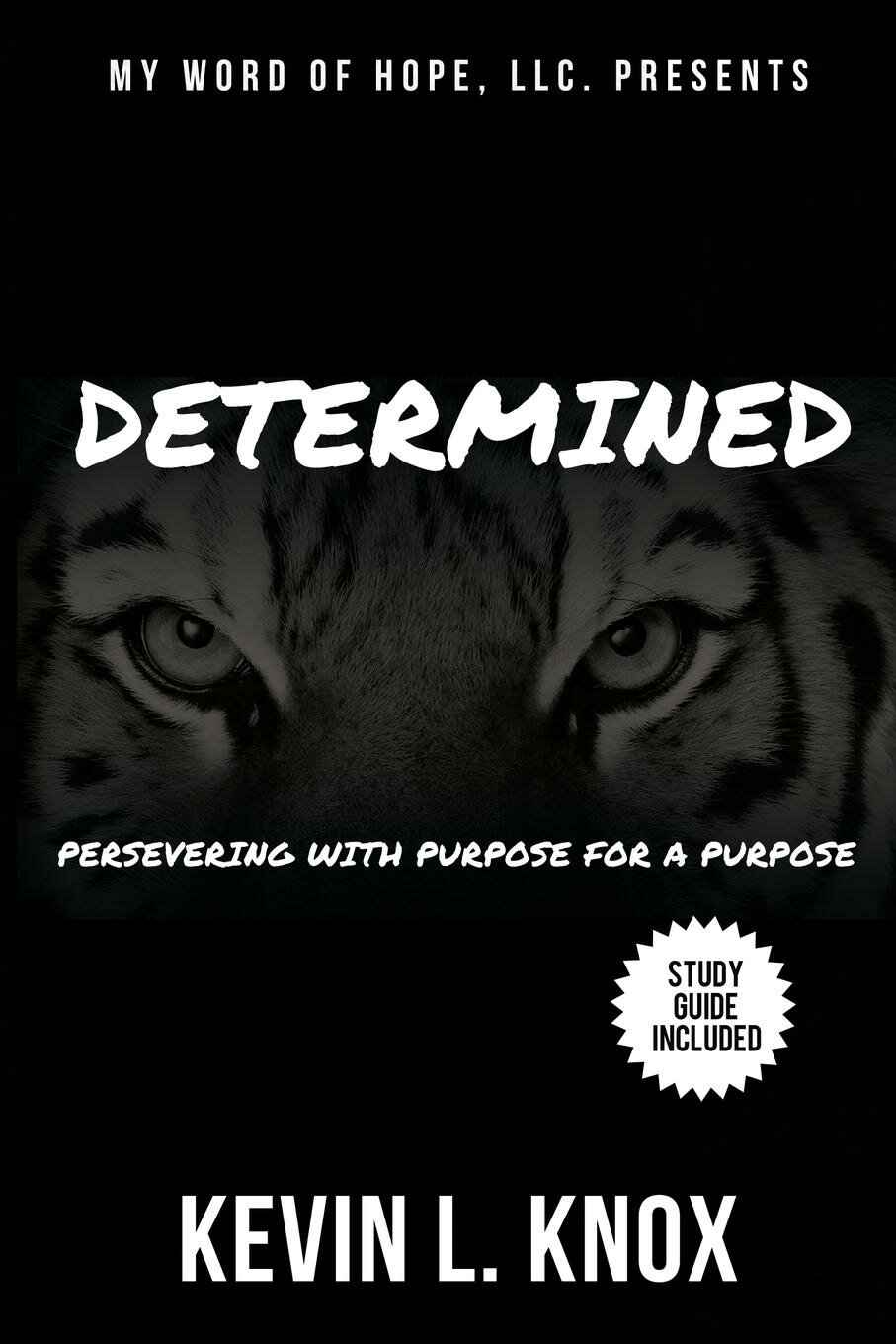Determined. Persevering with Purpose for a Purpose — фото 1