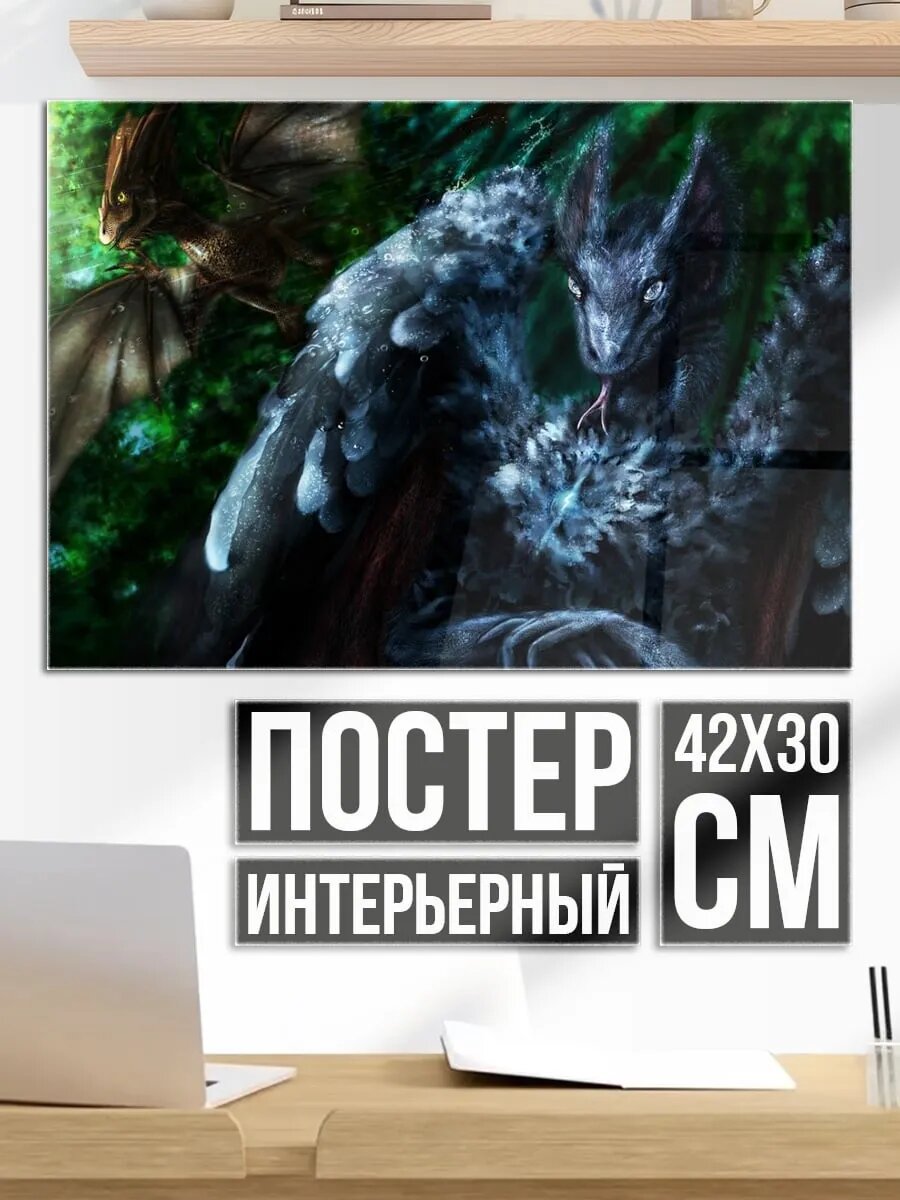 Плакат постер два дракона в лесу
