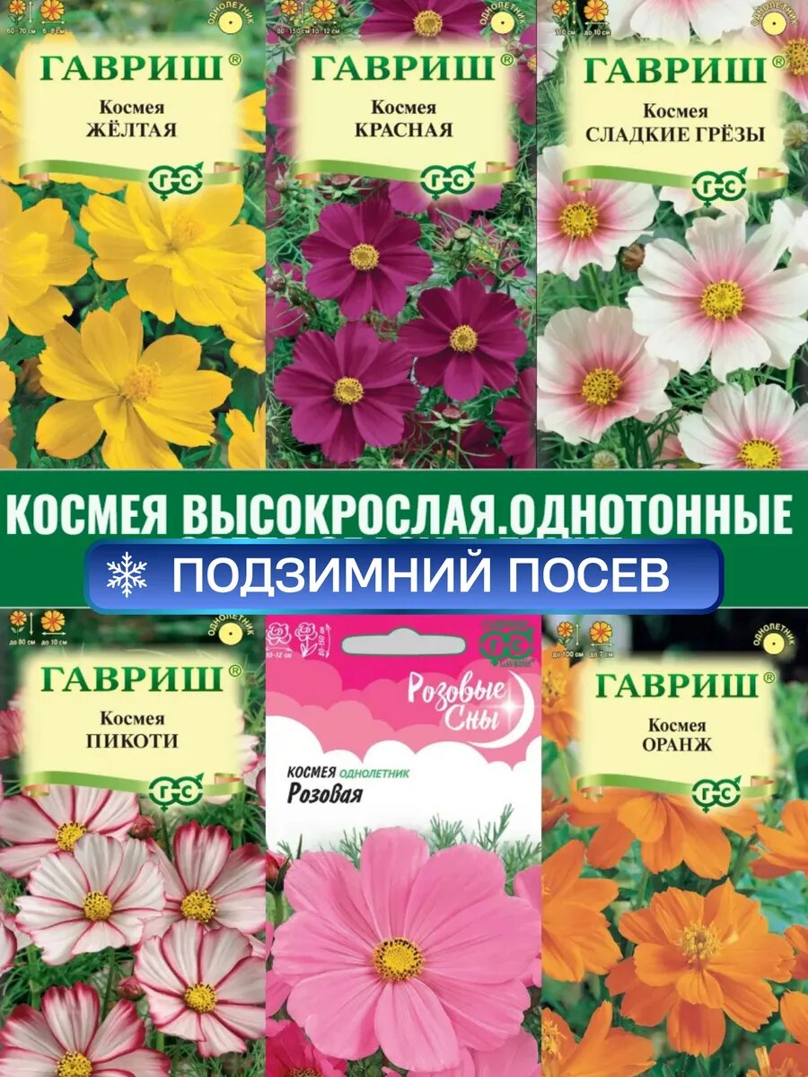 Космея семена однотонная набор 6 пакетов
