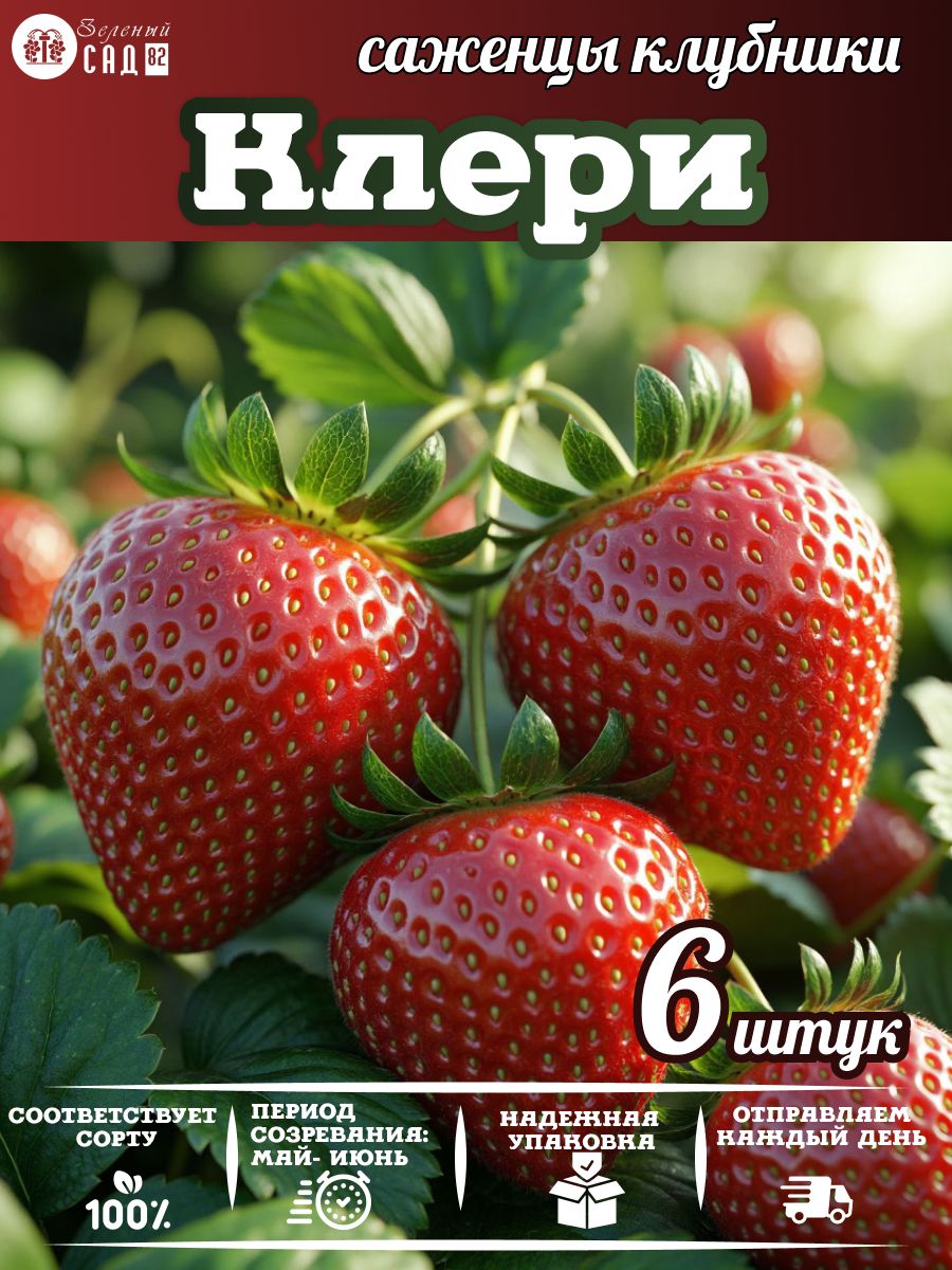 Клубника Клери 6 шт