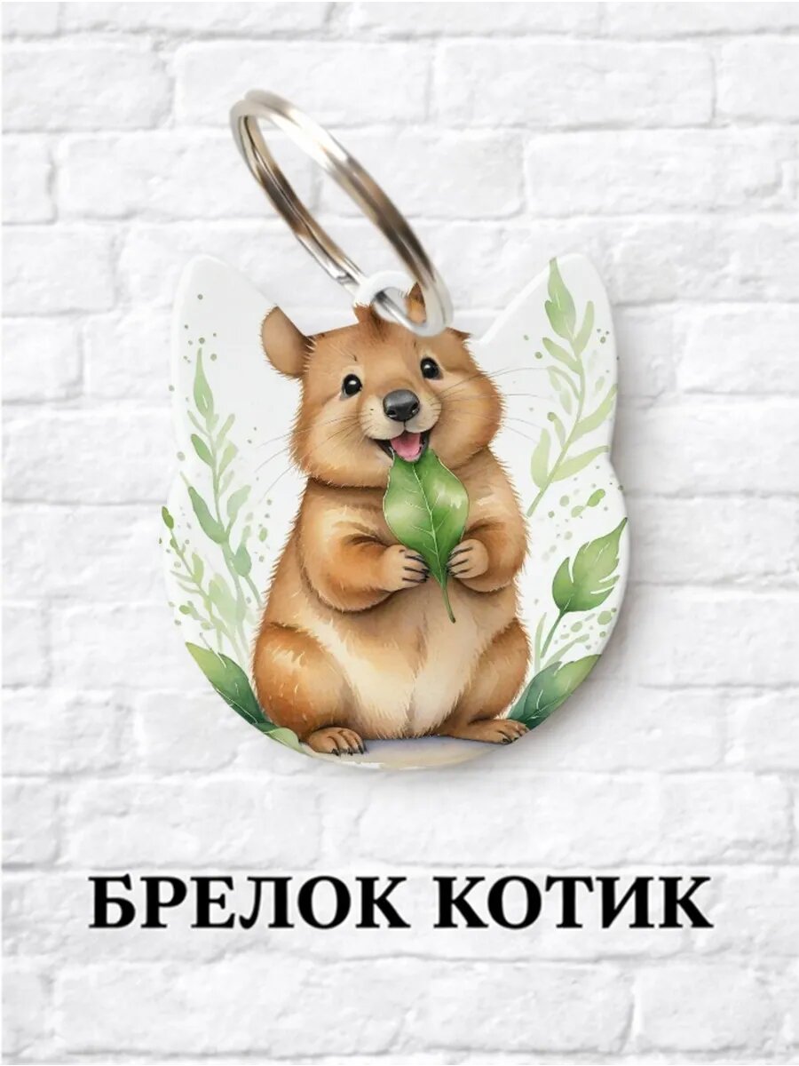 Брелок ZHENYA CLOUD