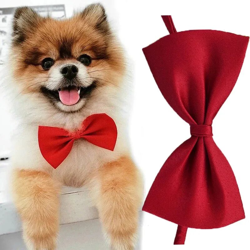 Галстук-бабочка для кота, собаки, красная