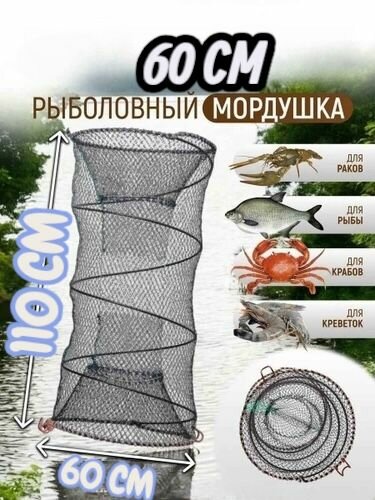 Набор для летней рыбалки 60 см