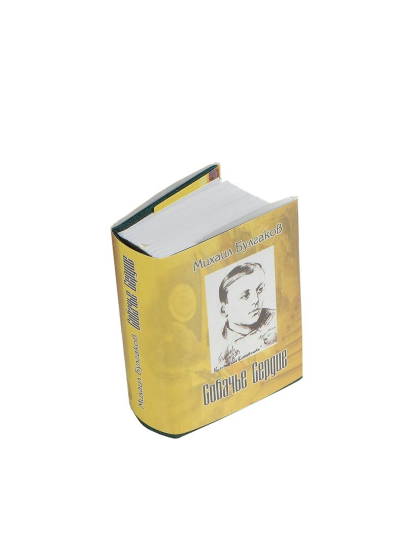 Собачье сердце, миниатюра