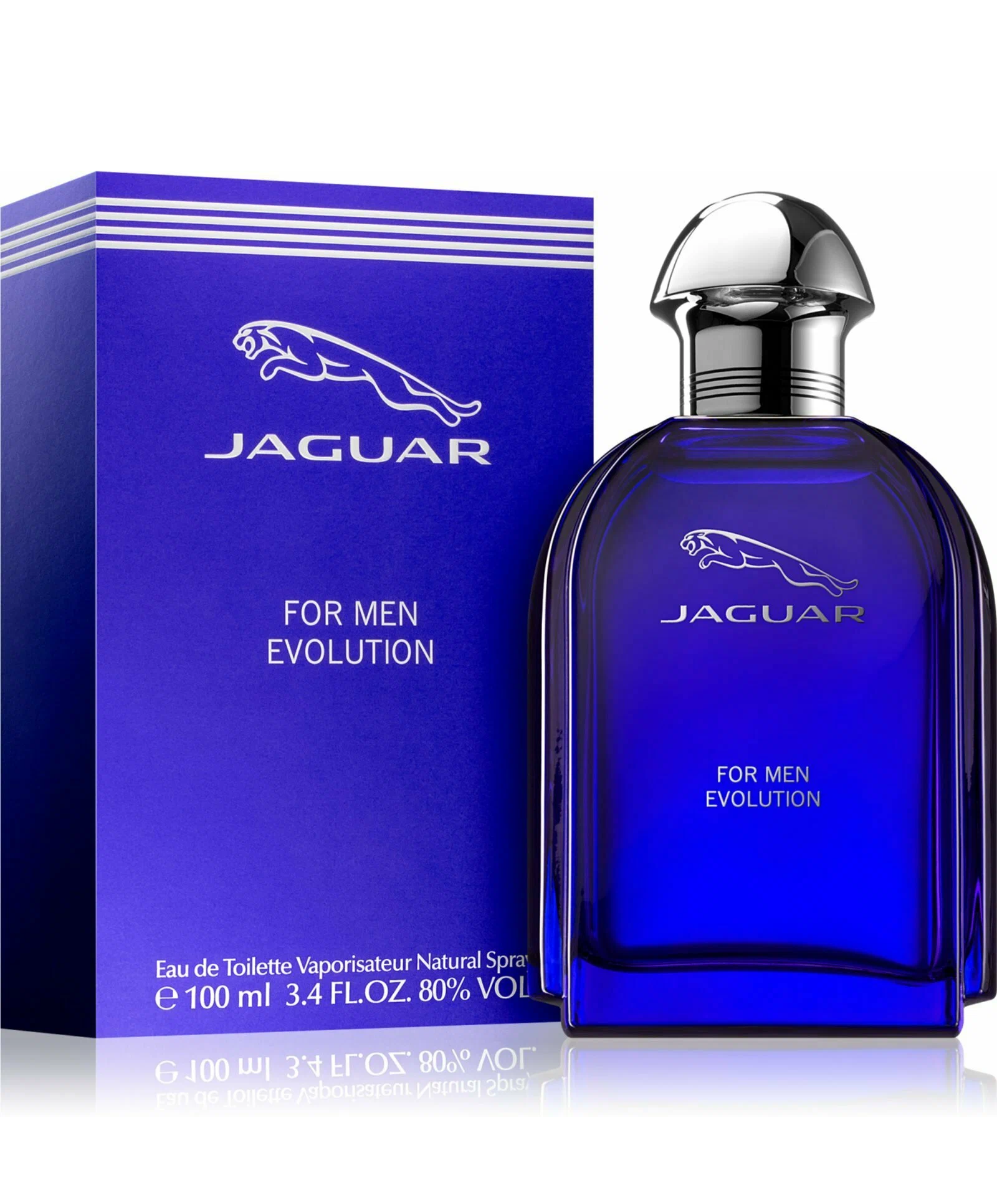 Туалетная вода мужская JAGUAR Evolution, 100 мл. Фужерно-пряный аромат