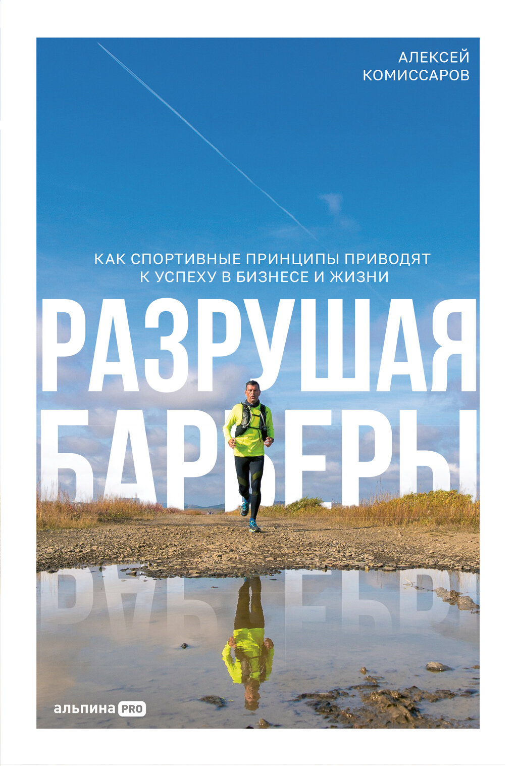 Разрушая барьеры: Как спортивные принципы приводят к успеху в бизнесе и жизни (электронная книга)