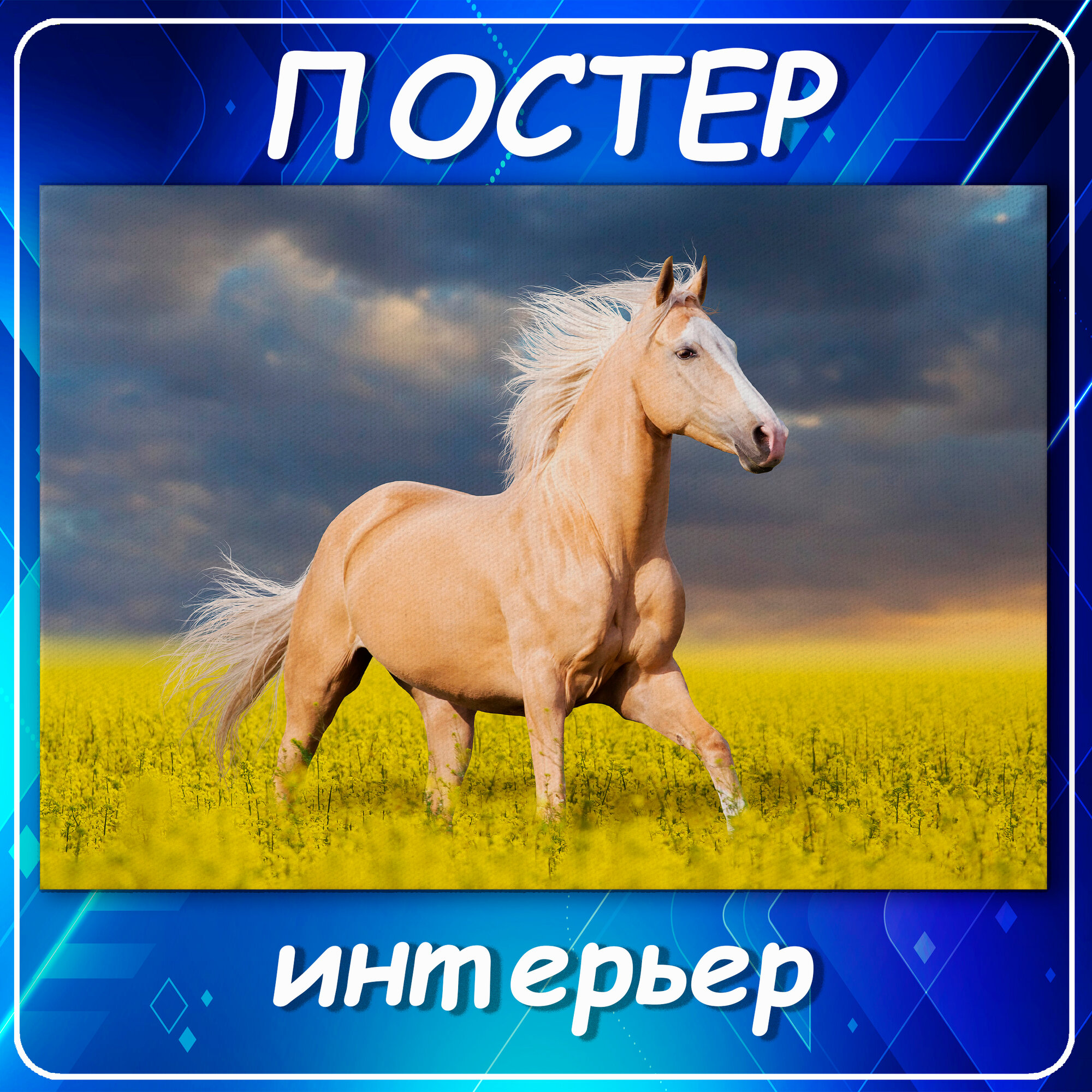 Постер 04, плакат, животные, лошади, кони, постер интерьерный, арт 1-4 20х30 см