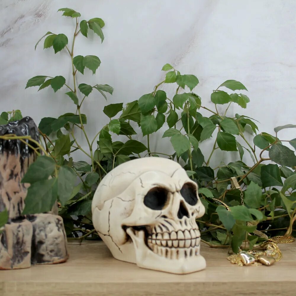 Шкатулка для украшений и мелочей Череп Бедный Йорик средний , гипс , 12 см